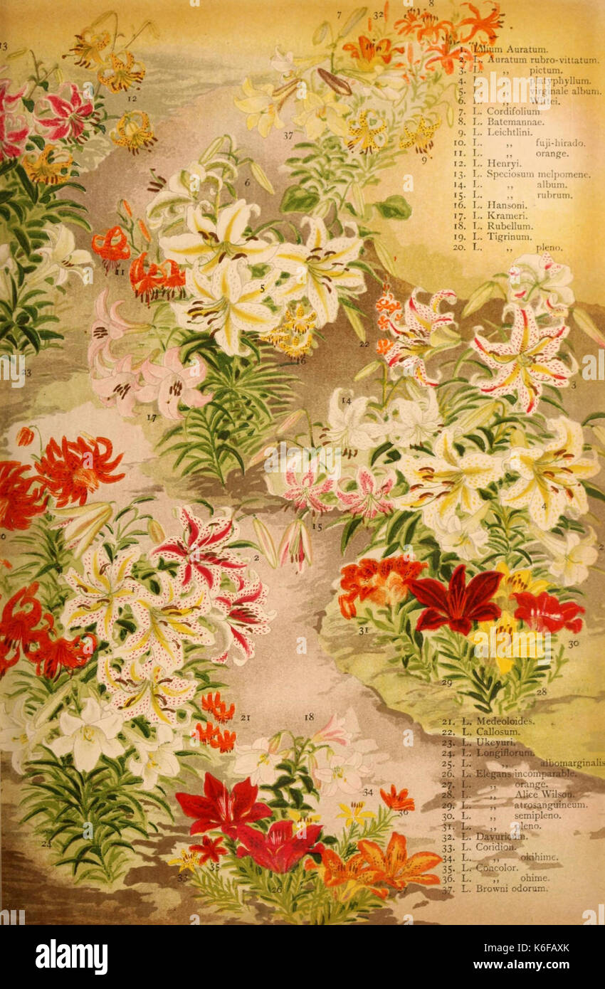 Descriptive catalogue of flowering, ornamental trees, shrubs, bulbs ...