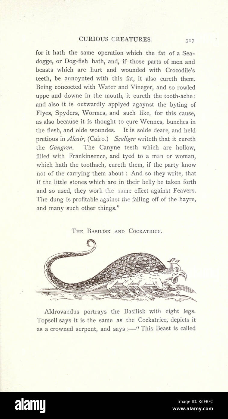 Curious creatures in zoology (15383031540 Stock Photo - Alamy