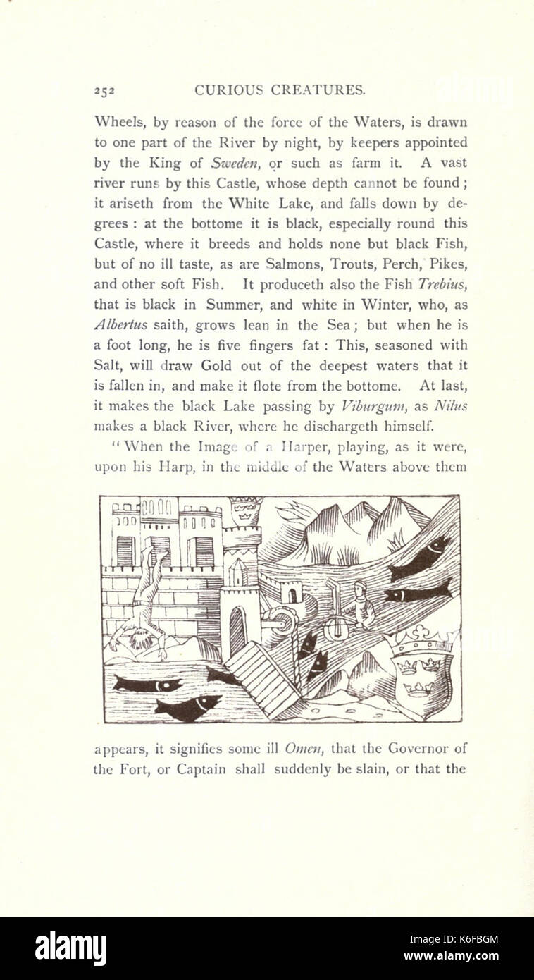 Curious creatures in zoology (14948456623 Stock Photo - Alamy