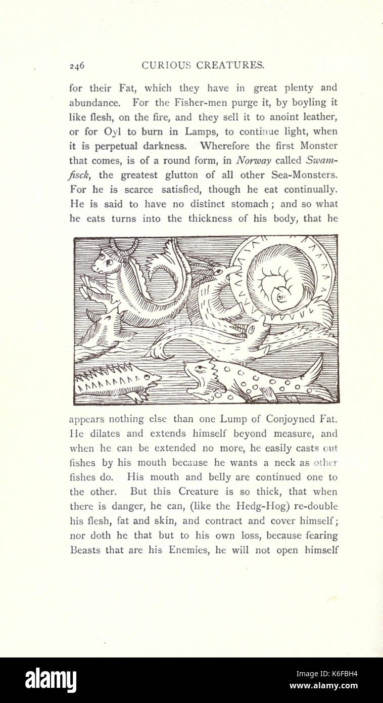 Creatures evolutionary characteristics hi-res stock photography and ...