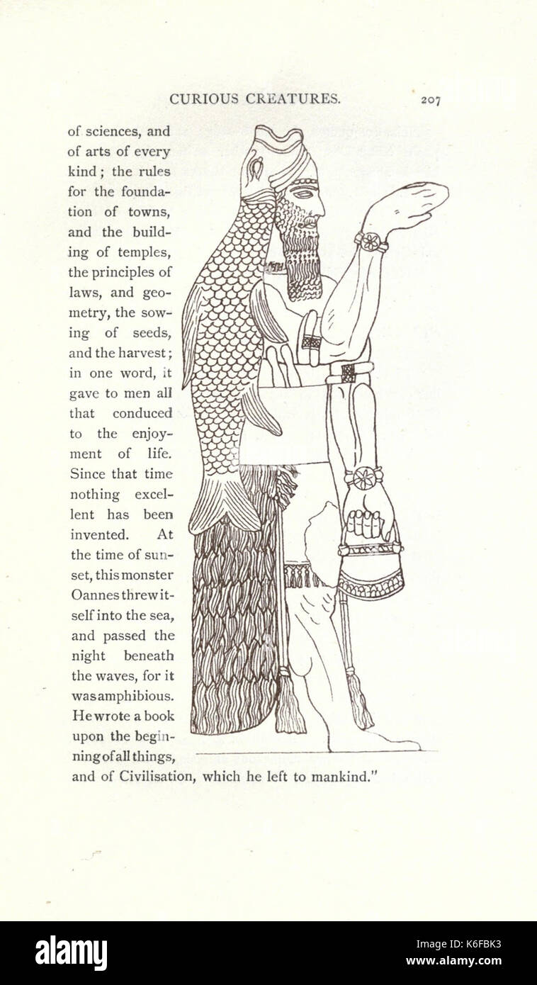 Curious creatures in zoology hi-res stock photography and images - Alamy