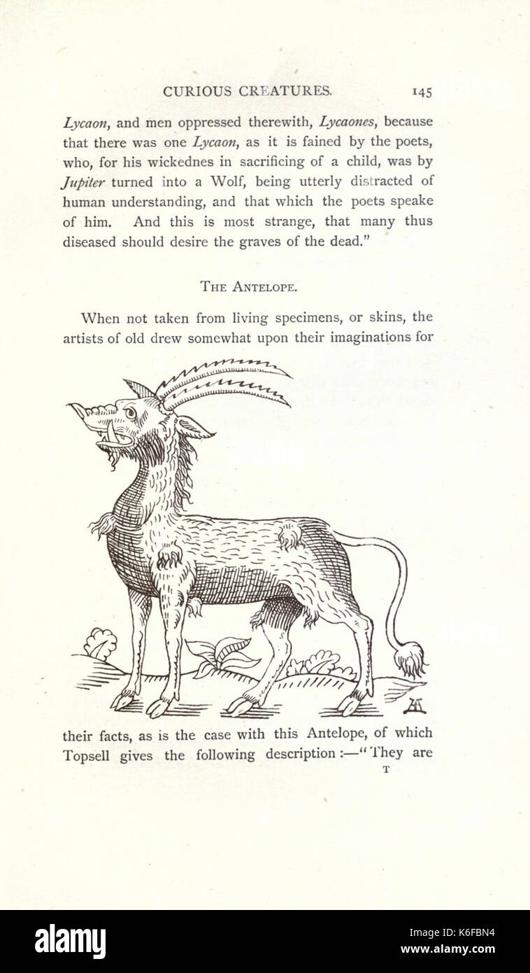 Curious creatures in zoology (15569383202 Stock Photo - Alamy