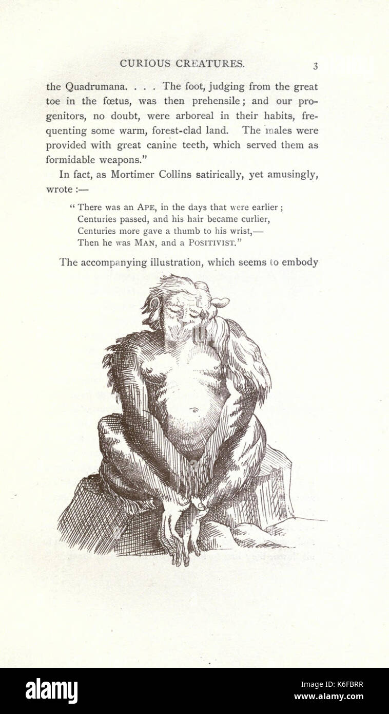 Curious creatures in zoology (15565820541 Stock Photo - Alamy