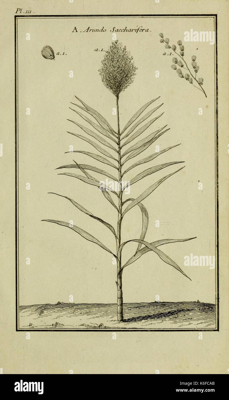 Description, vertus et usages de sept cents dix neuf plantes ...