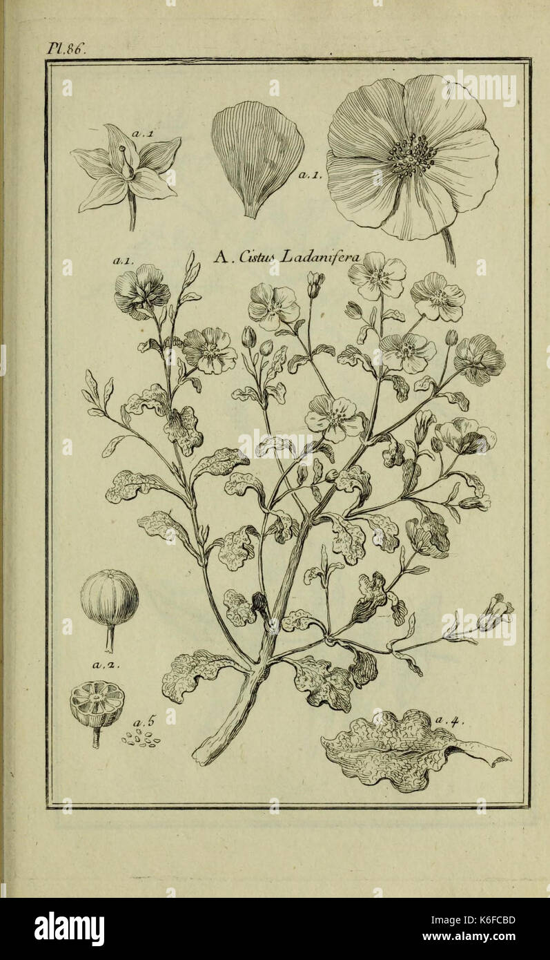 Description, vertus et usages de sept cents dix neuf plantes ...