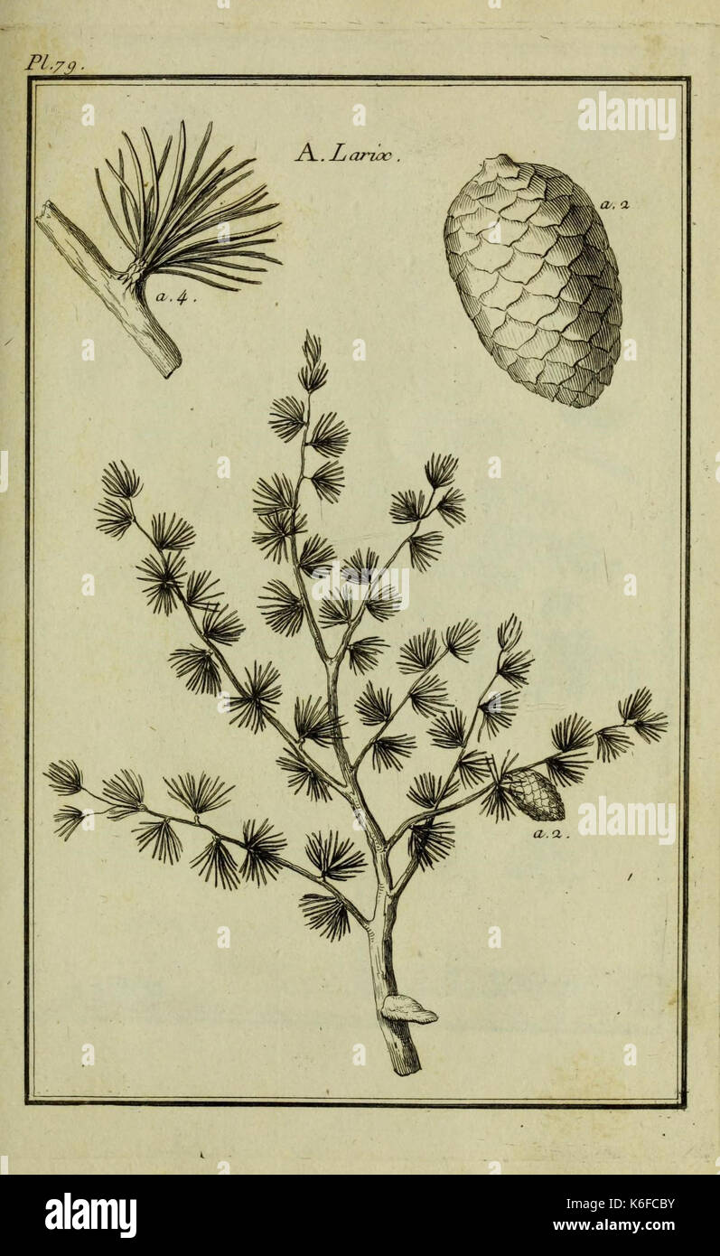 Description, vertus et usages de sept cents dix neuf plantes ...
