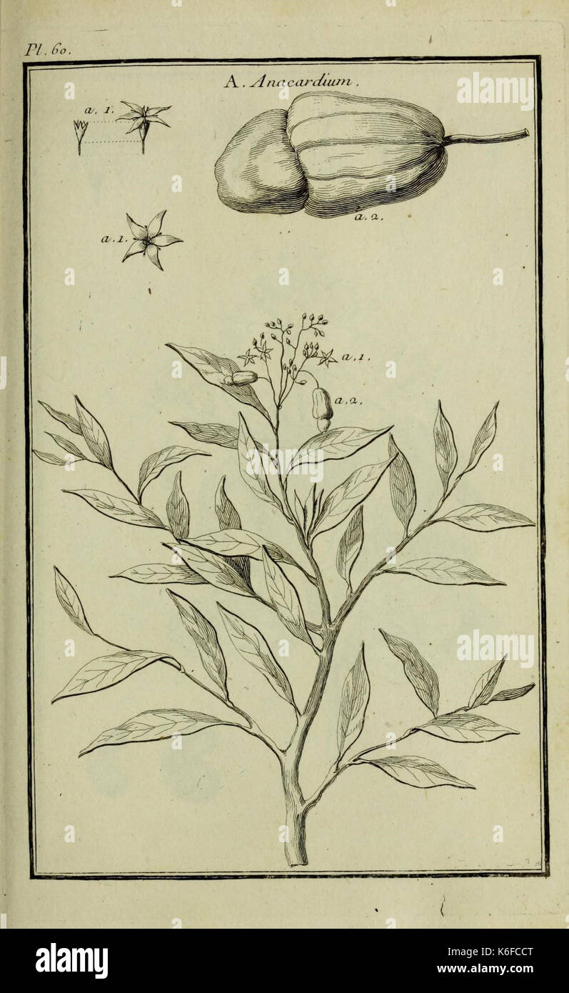 Description, vertus et usages de sept cents dix neuf plantes ...