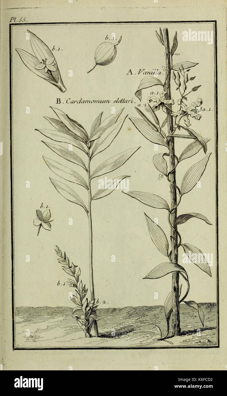 Description, vertus et usages de sept cents dix neuf plantes ...