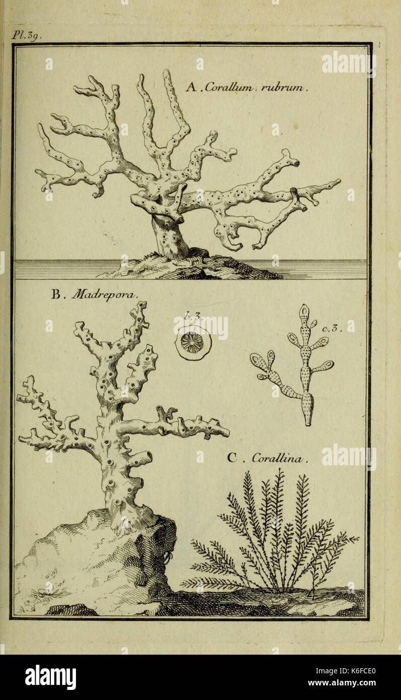 Description, vertus et usages de sept cents dix neuf plantes ...