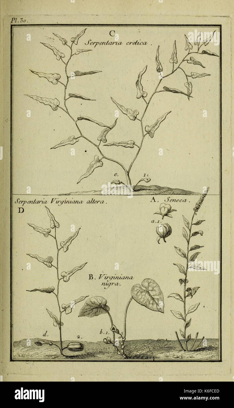 Description, vertus et usages de sept cents dix neuf plantes ...