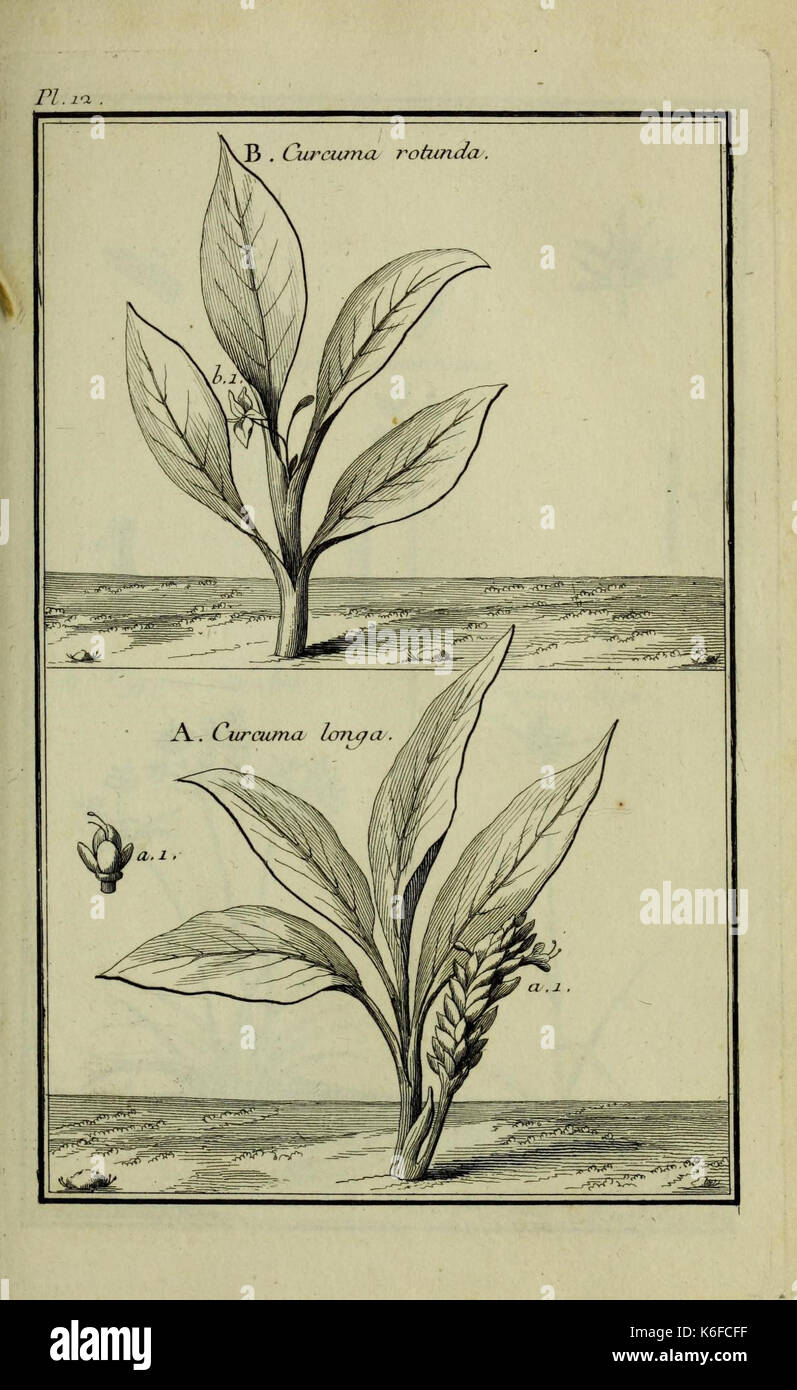 Description, vertus et usages de sept cents dix neuf plantes ...