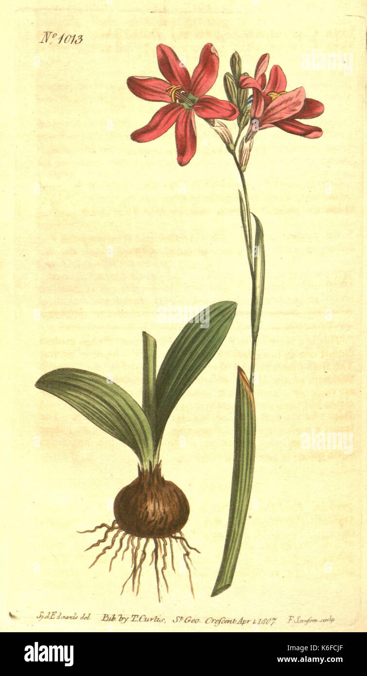 Magazine of botany hi-res stock photography and images - Alamy