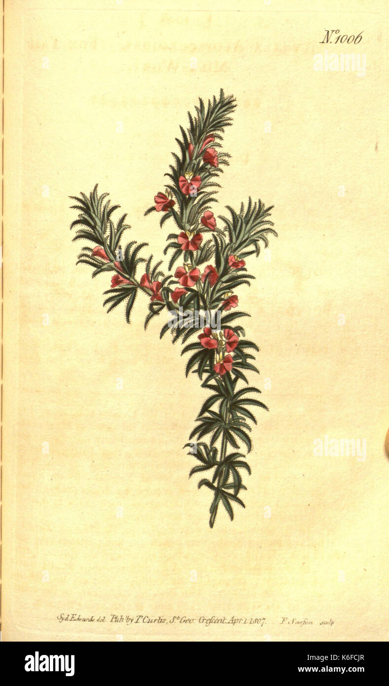 Curtis’s botanical magazine cover hi-res stock photography and images ...