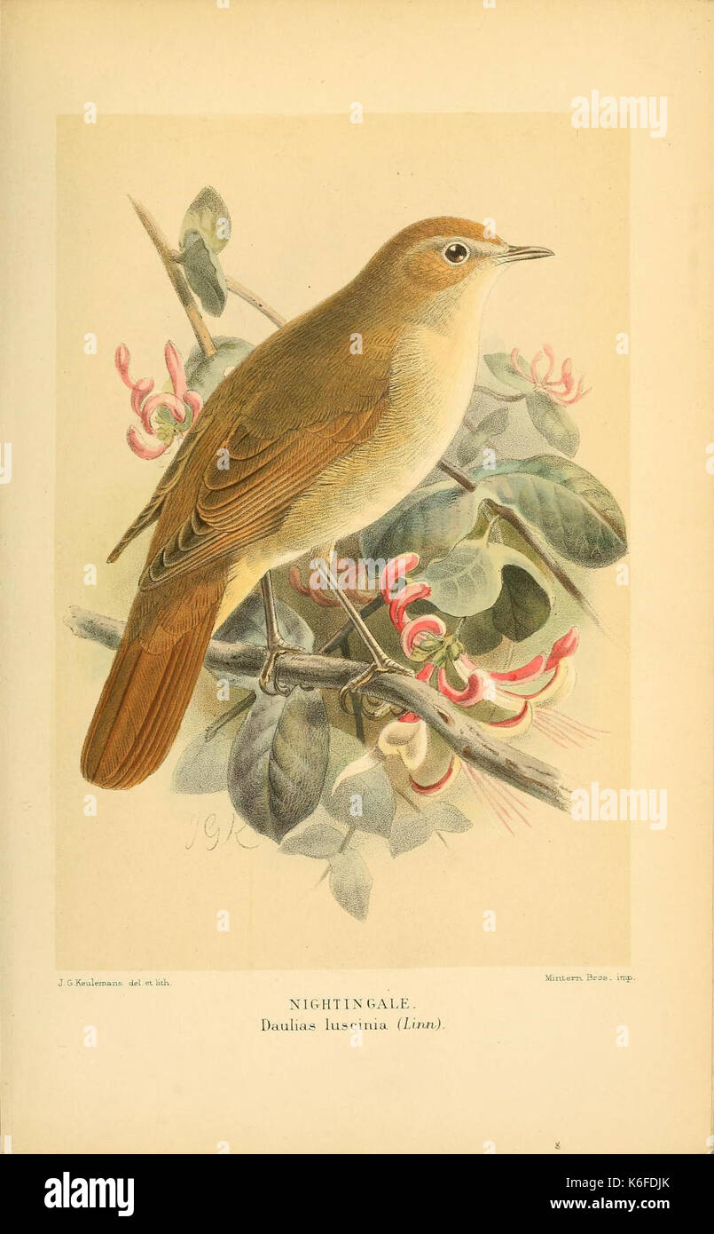 Coloured figures of the birds of the British Islands issued by Lord ...