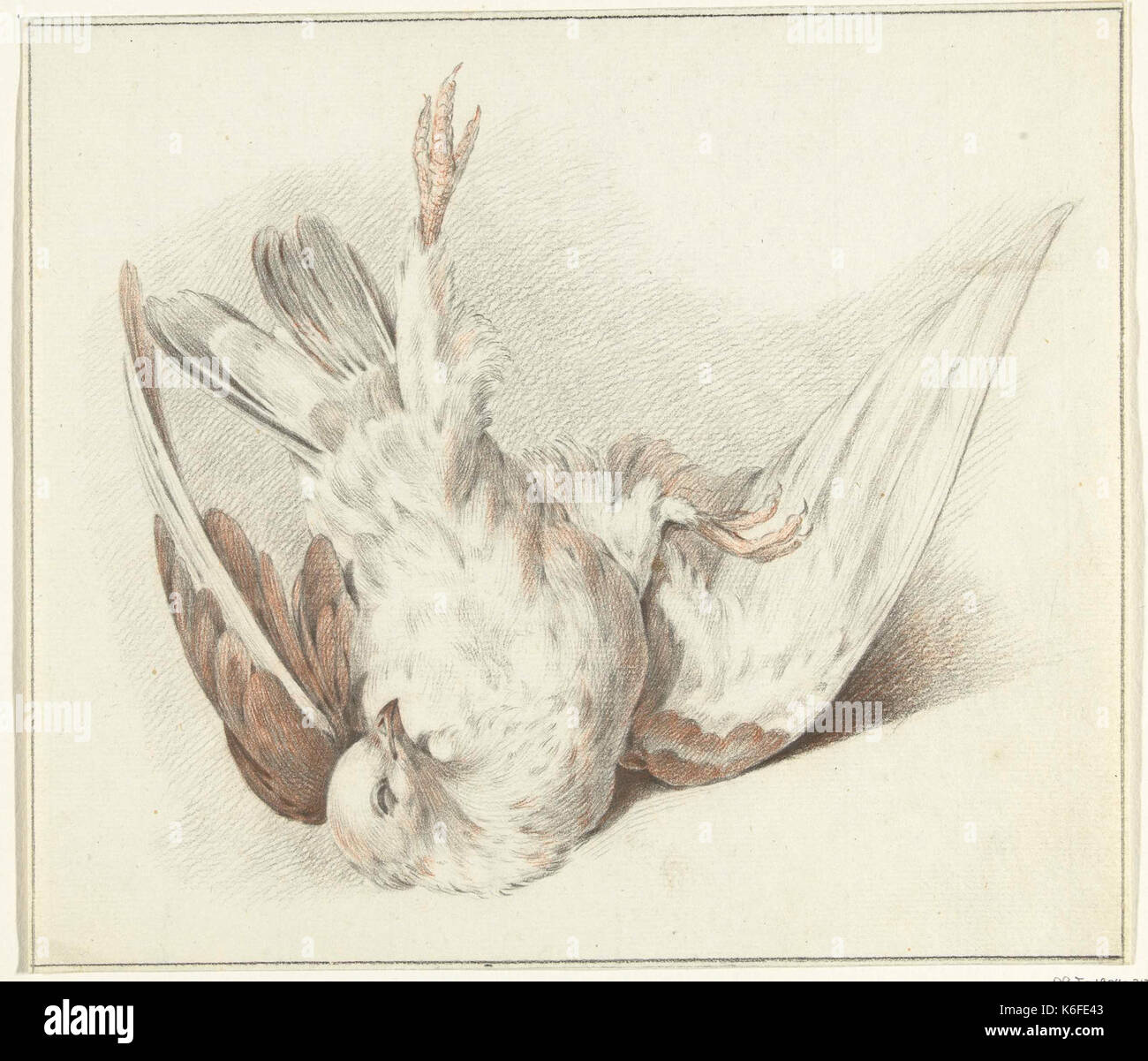 Dode High Resolution Stock Photography and Images - Alamy