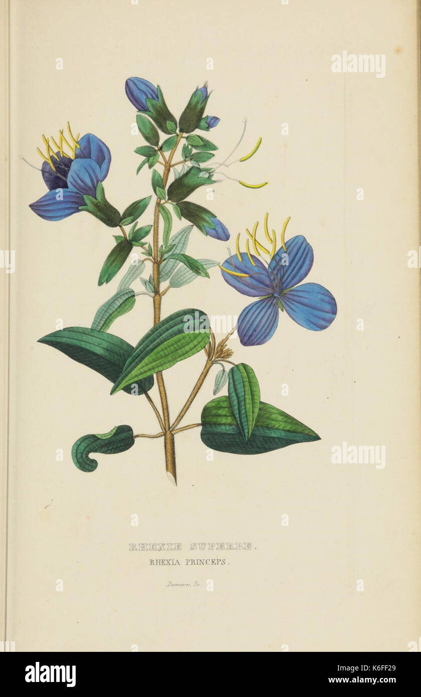 Natural science terminology hi-res stock photography and images - Alamy