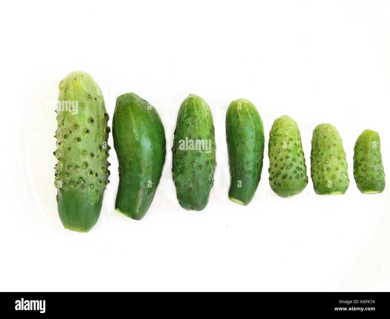 Cucumbers of different sizes isolated on the white background Stock ...