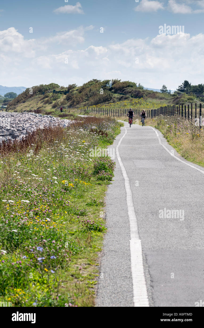 North Wales coast cycle and walking path near Llanddulas Stock Photo ...