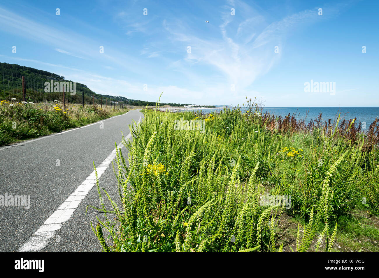 North Wales coast cycle and walking path near Llanddulas Stock Photo ...