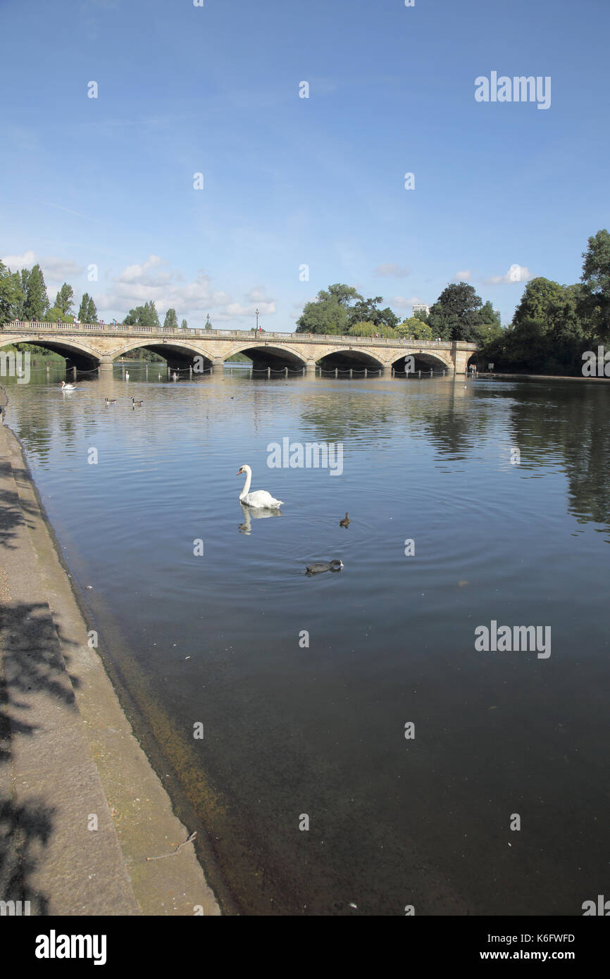 bridge over the serpentine in hyde park london Stock Photo - Alamy