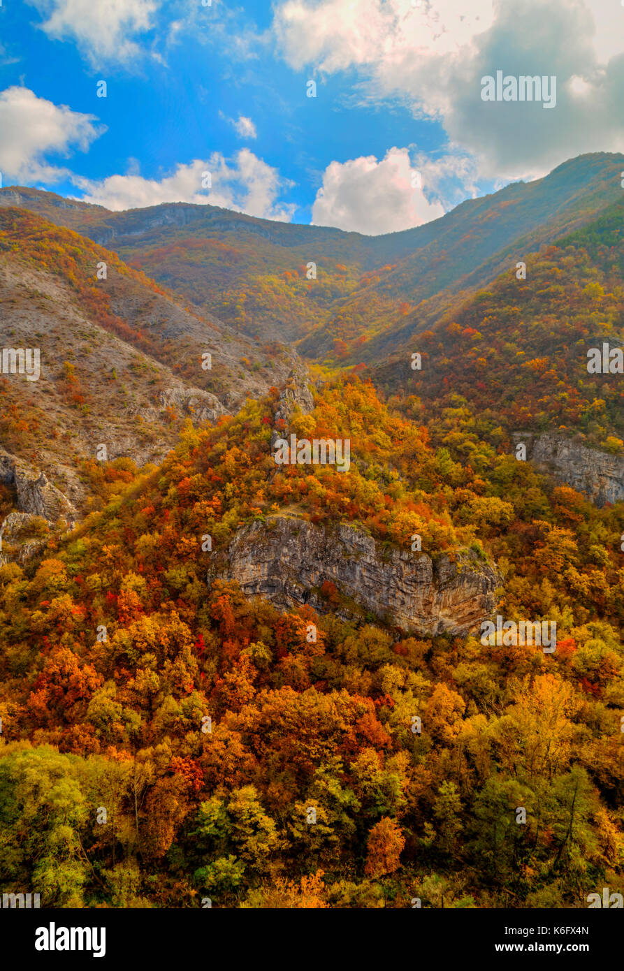 Beautiful landscape in the mountain with colorful autumn forest Stock ...