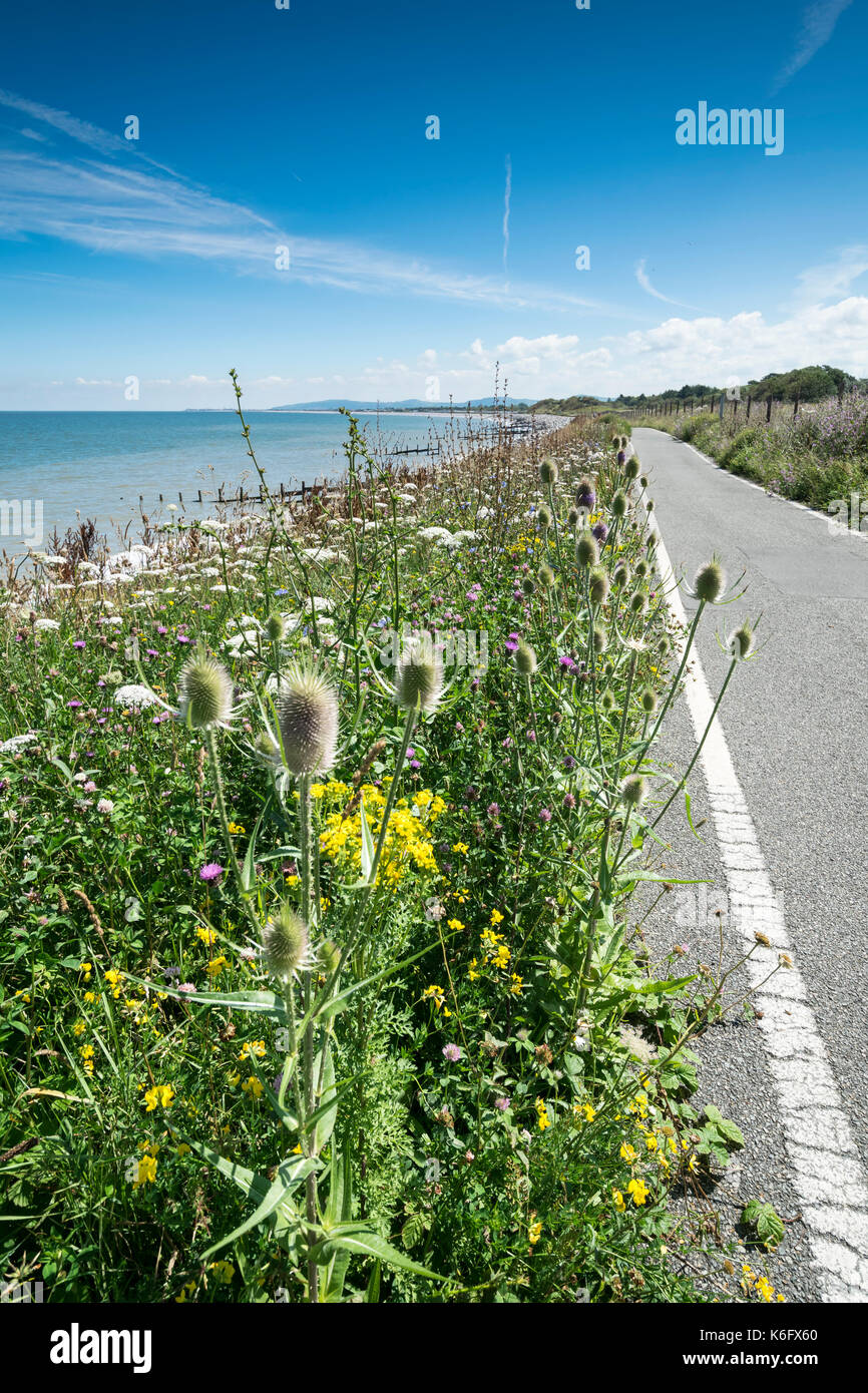 North Wales coast cycle and walking path near Llanddulas Stock Photo ...