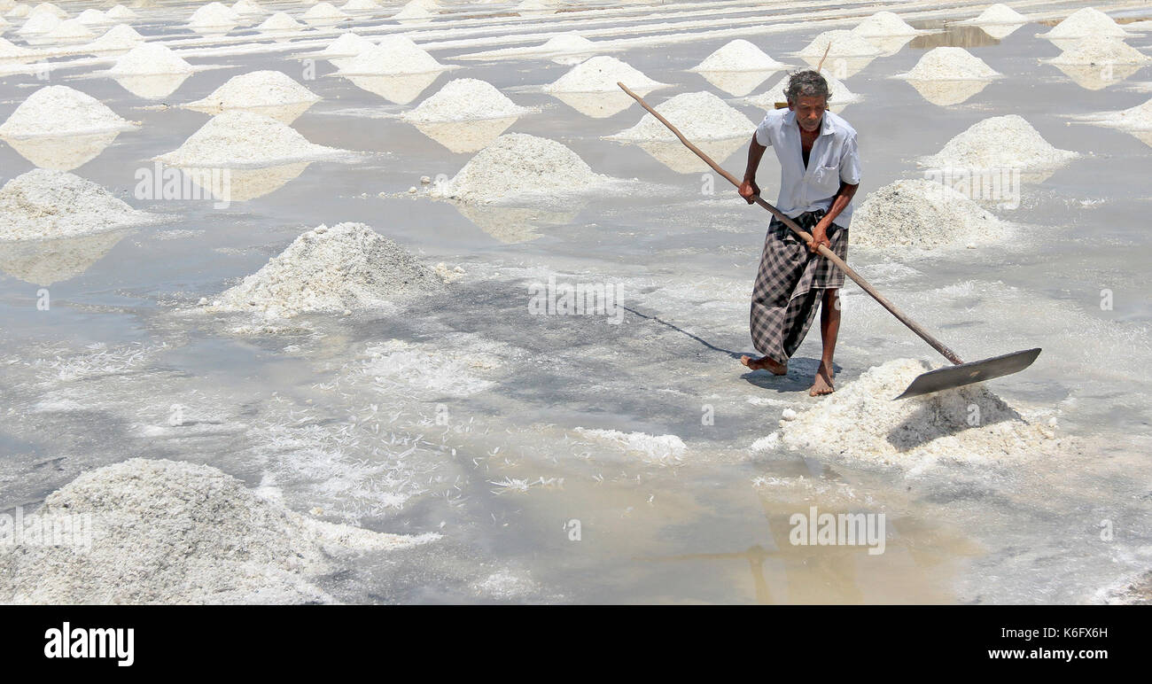 salt farm man in Puttalam, Sri Lanka Stock Photo - Alamy