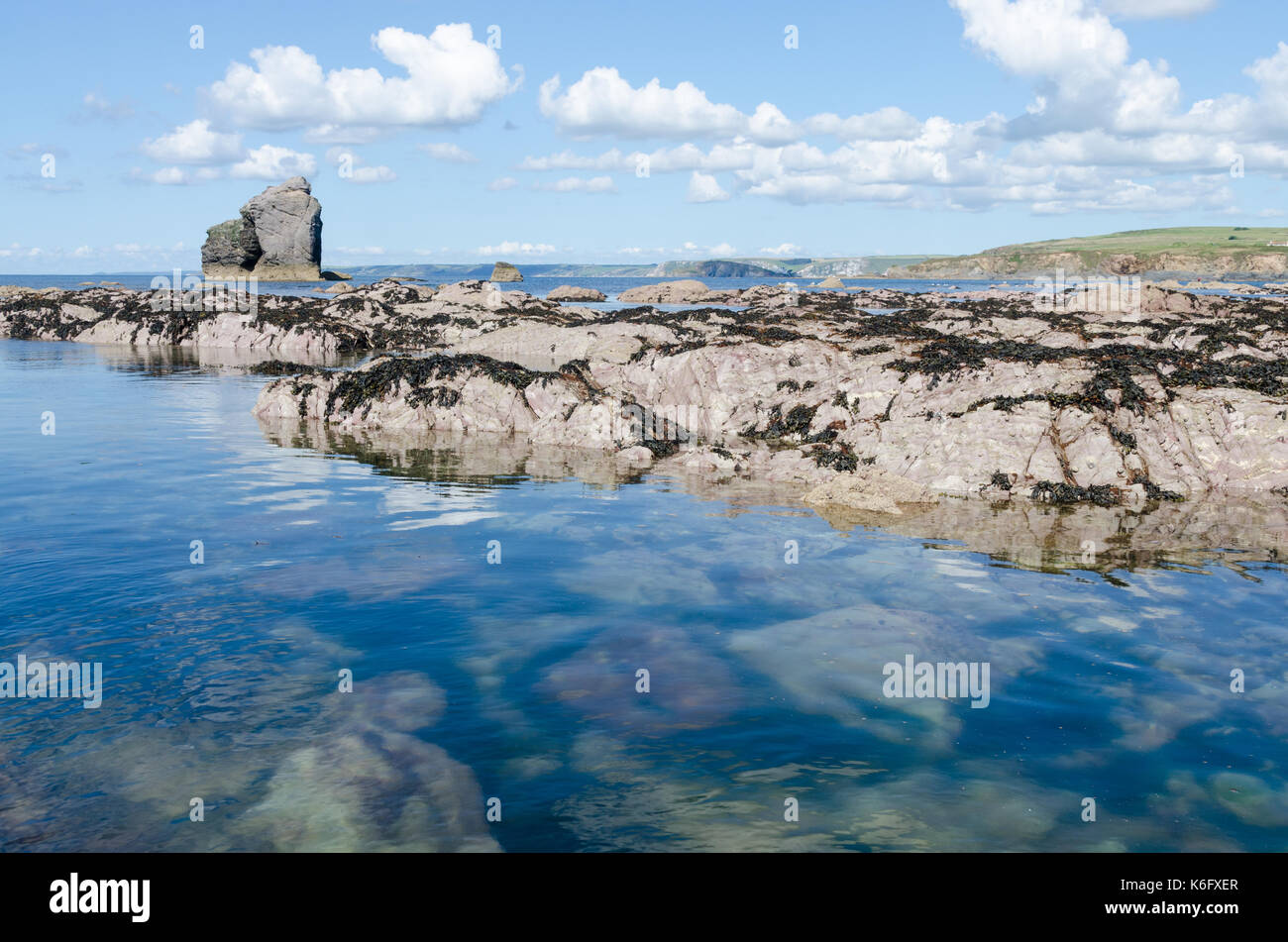 Rock pools on the beach at South Milton Sands, Thurlestone in South ...