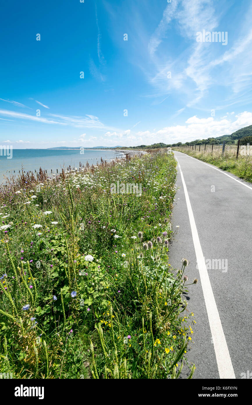 North Wales coast cycle and walking path near Llanddulas Stock Photo ...