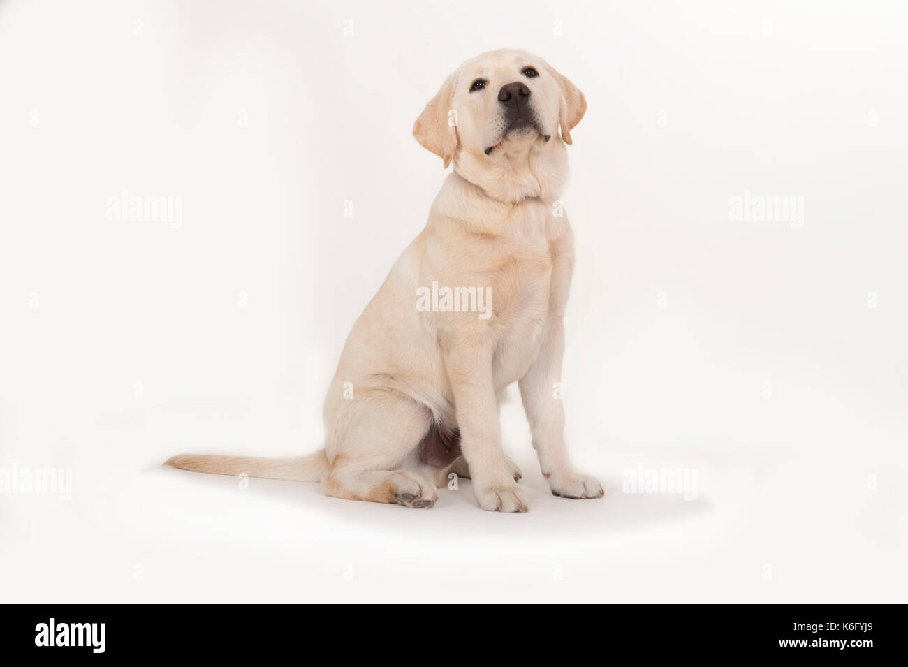 Looking up alert hi-res stock photography and images - Alamy