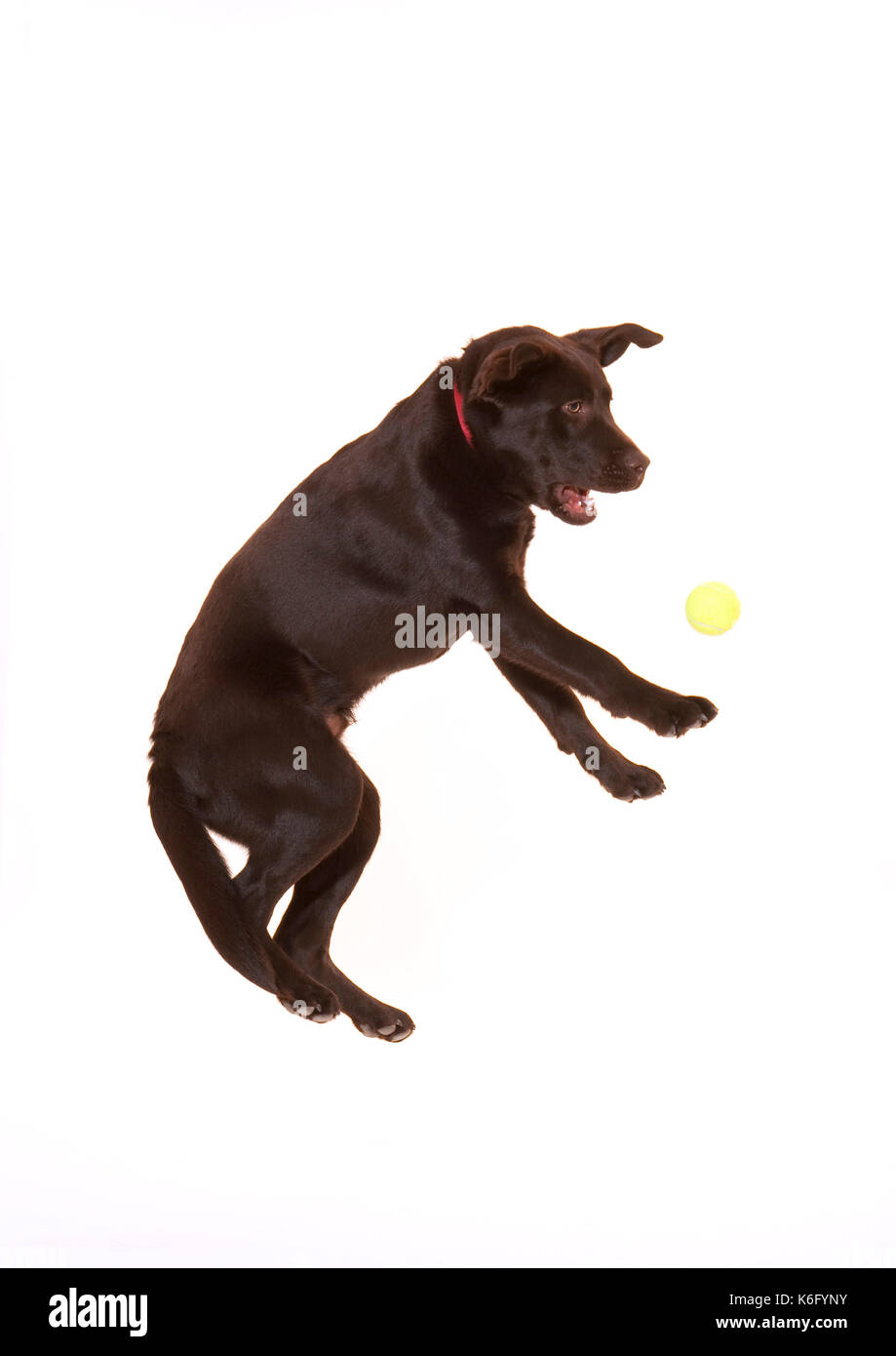 Jumping for the ball hi-res stock photography and images - Alamy