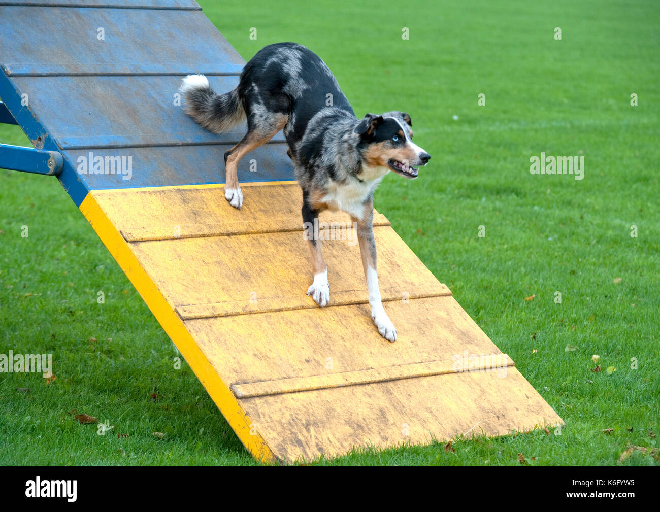 Agility a frame hi-res stock photography and images - Alamy