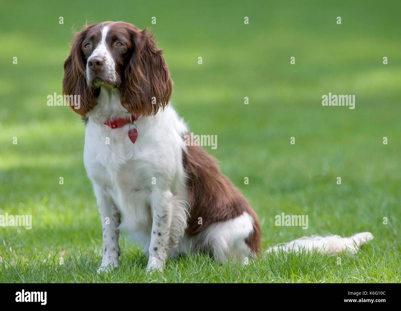 Outside in park hi-res stock photography and images - Alamy