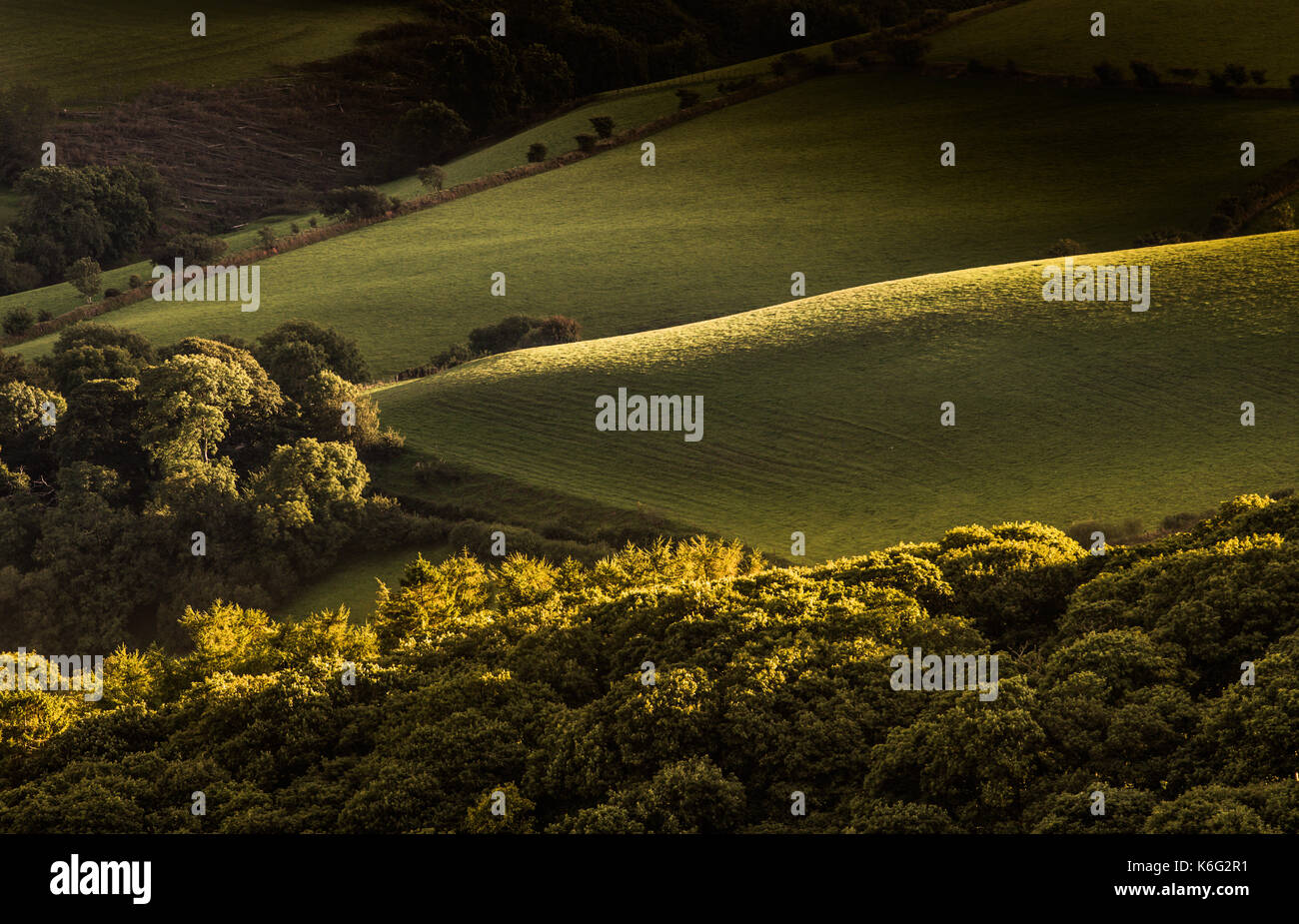 Landscape of Exmoor in low sunlight Stock Photo - Alamy
