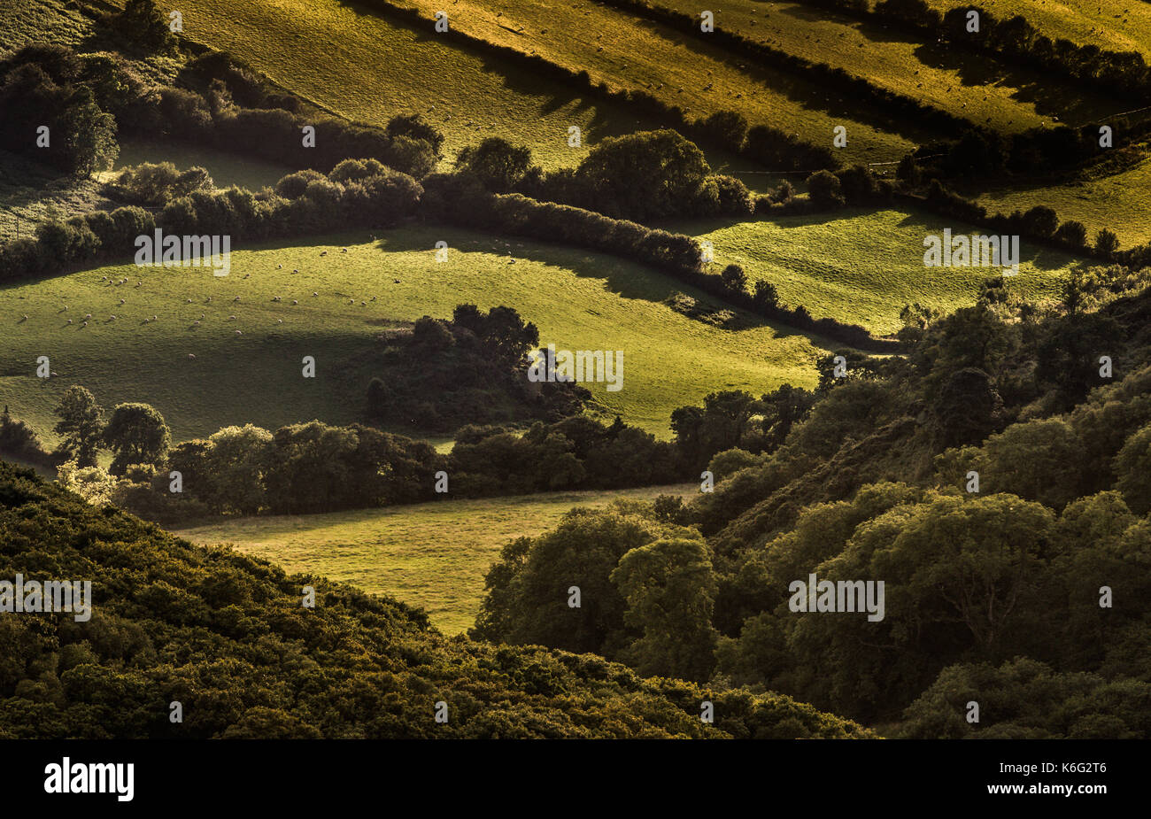 Landscape of Exmoor in low sunlight Stock Photo - Alamy