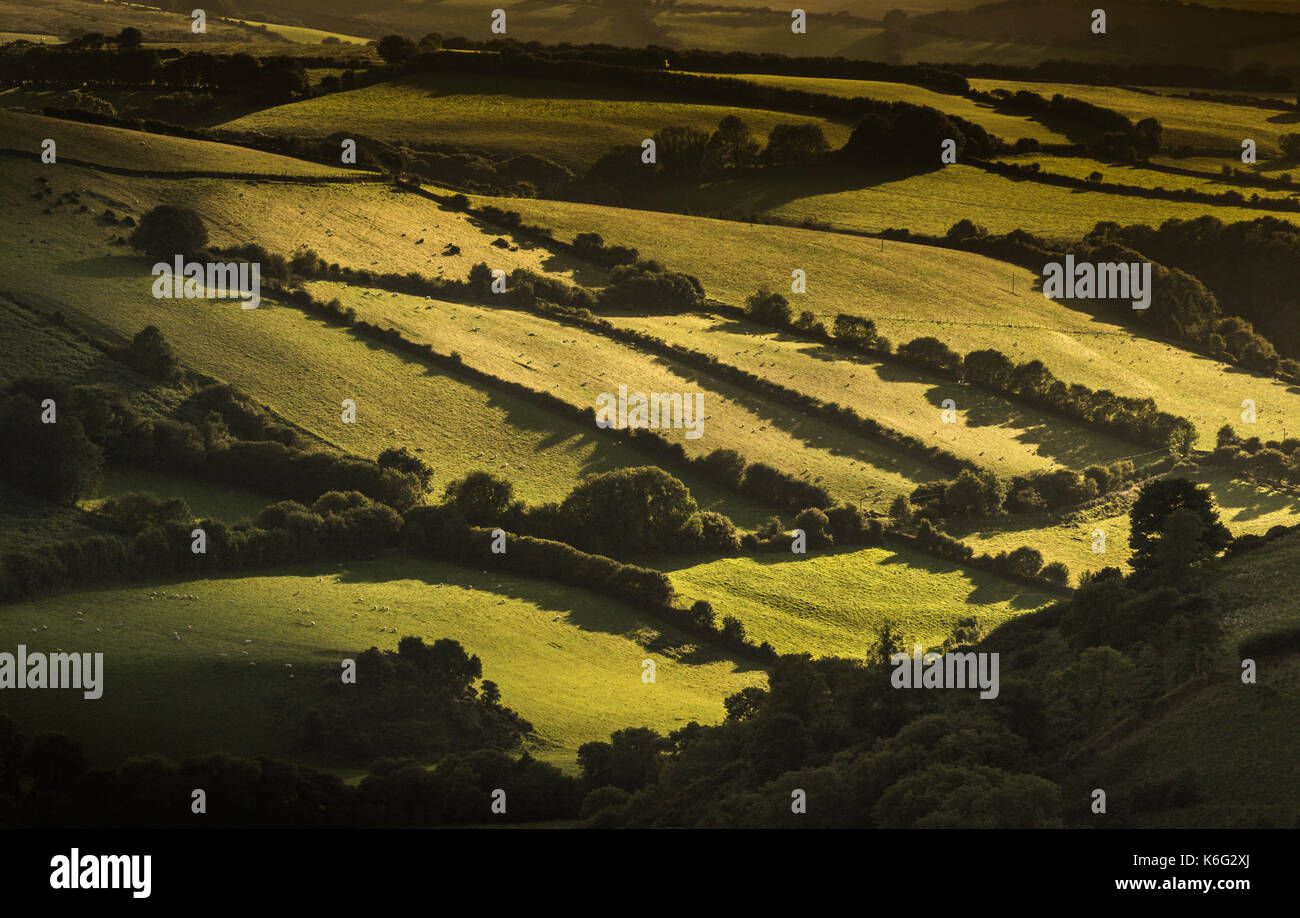 Walking in exmoor national park hi-res stock photography and images - Alamy