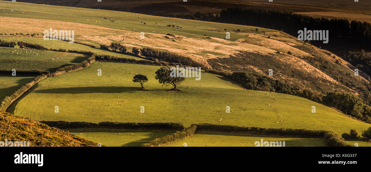Landscape of Exmoor in low sunlight Stock Photo - Alamy