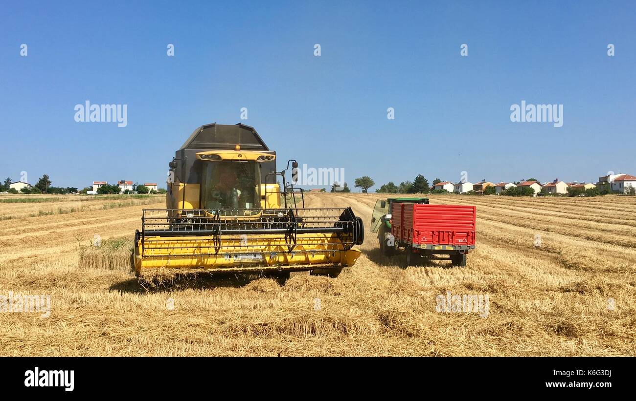 Harvester machine hi-res stock photography and images - Alamy
