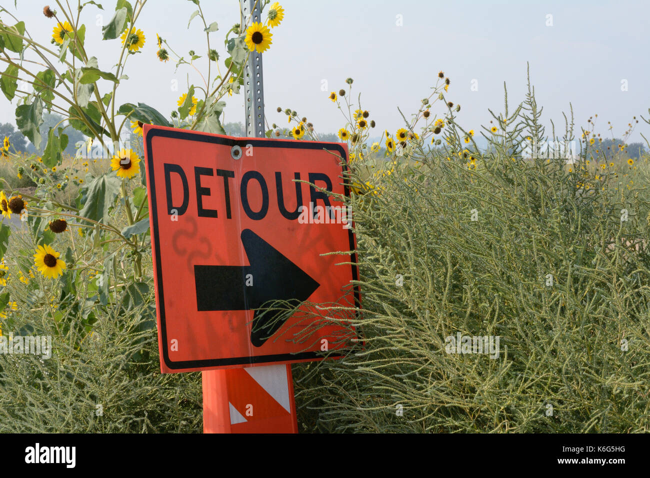 Life detour sign hi-res stock photography and images - Alamy