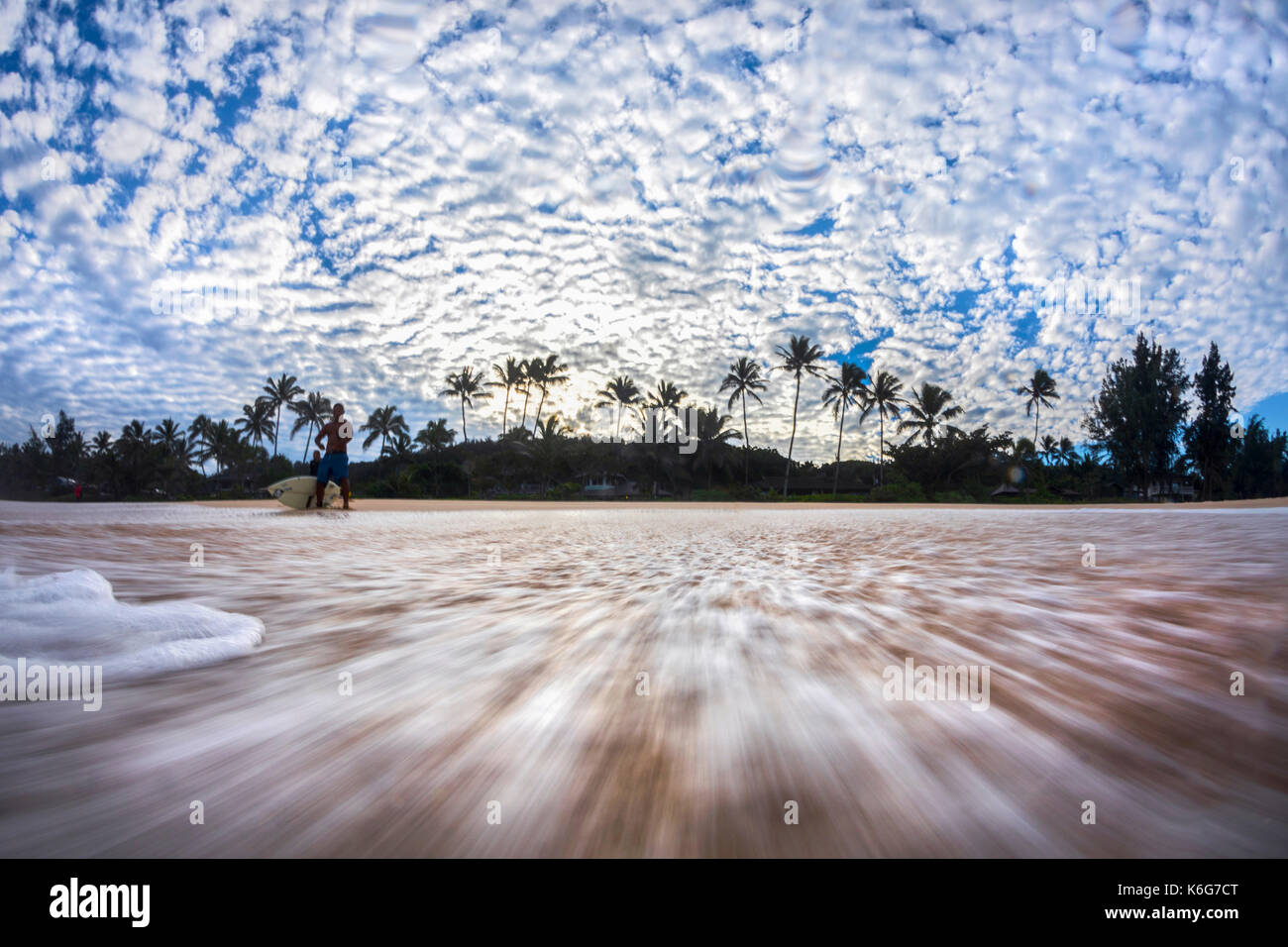 Surfer and palm trees on beach, Oahu, Hawaii, USA Stock Photo - Alamy