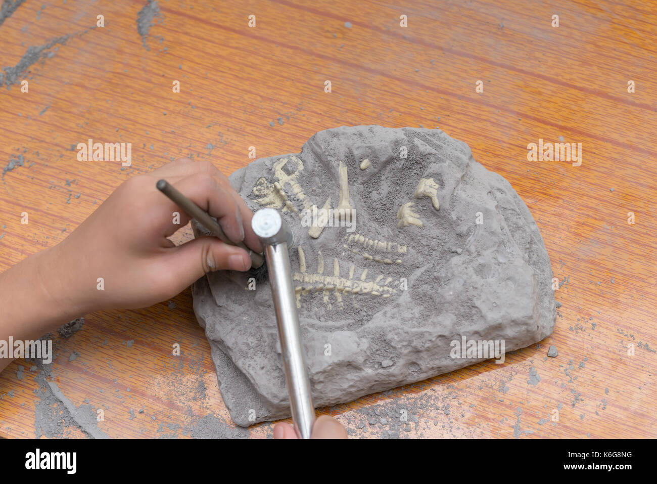 Kid digging dinosaur hi-res stock photography and images - Alamy