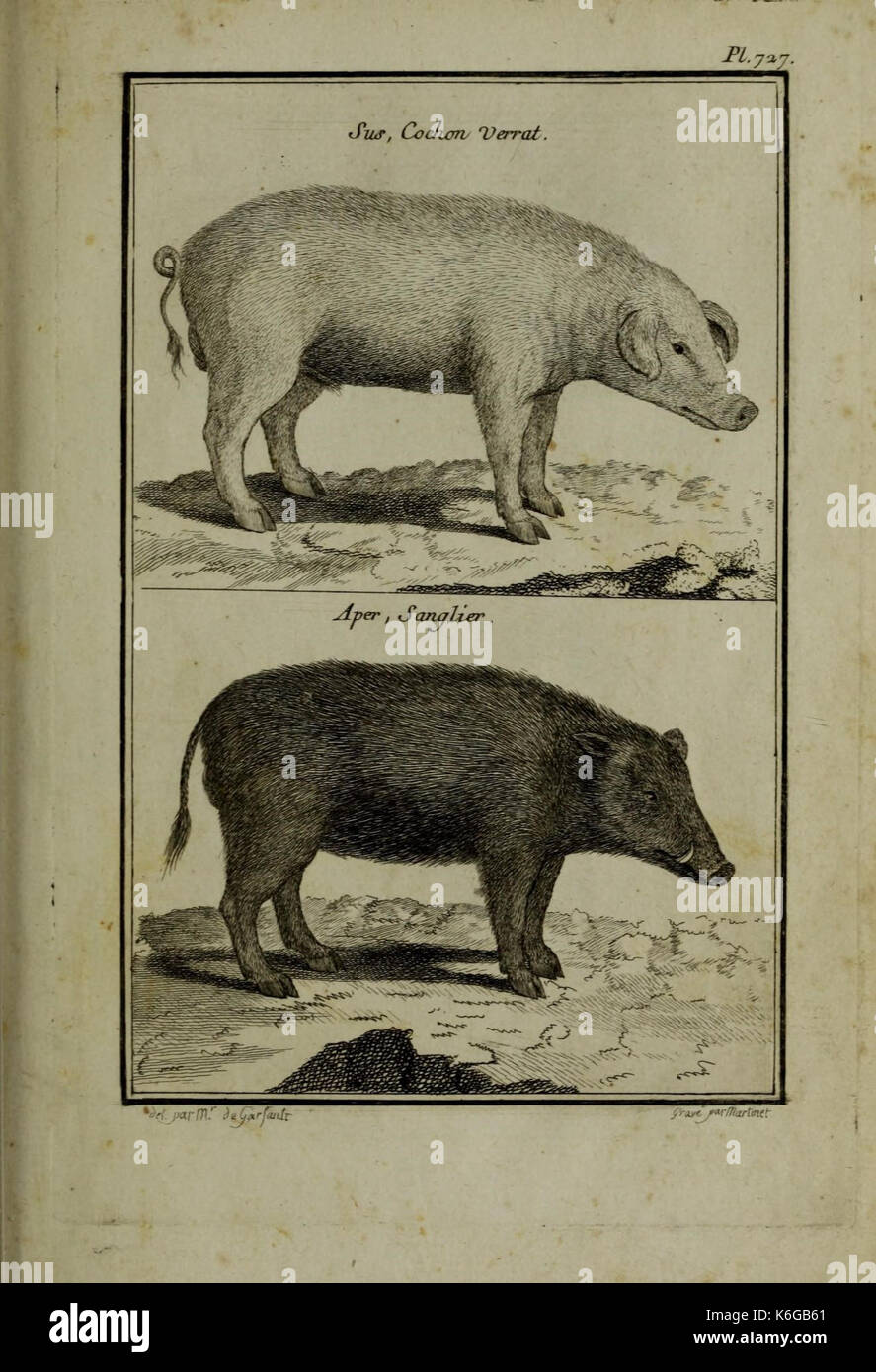 Plate 727 hi-res stock photography and images - Alamy