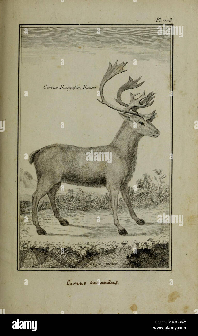 Description, vertus et usages de sept cents dix neuf plantes (Plate 708 ...