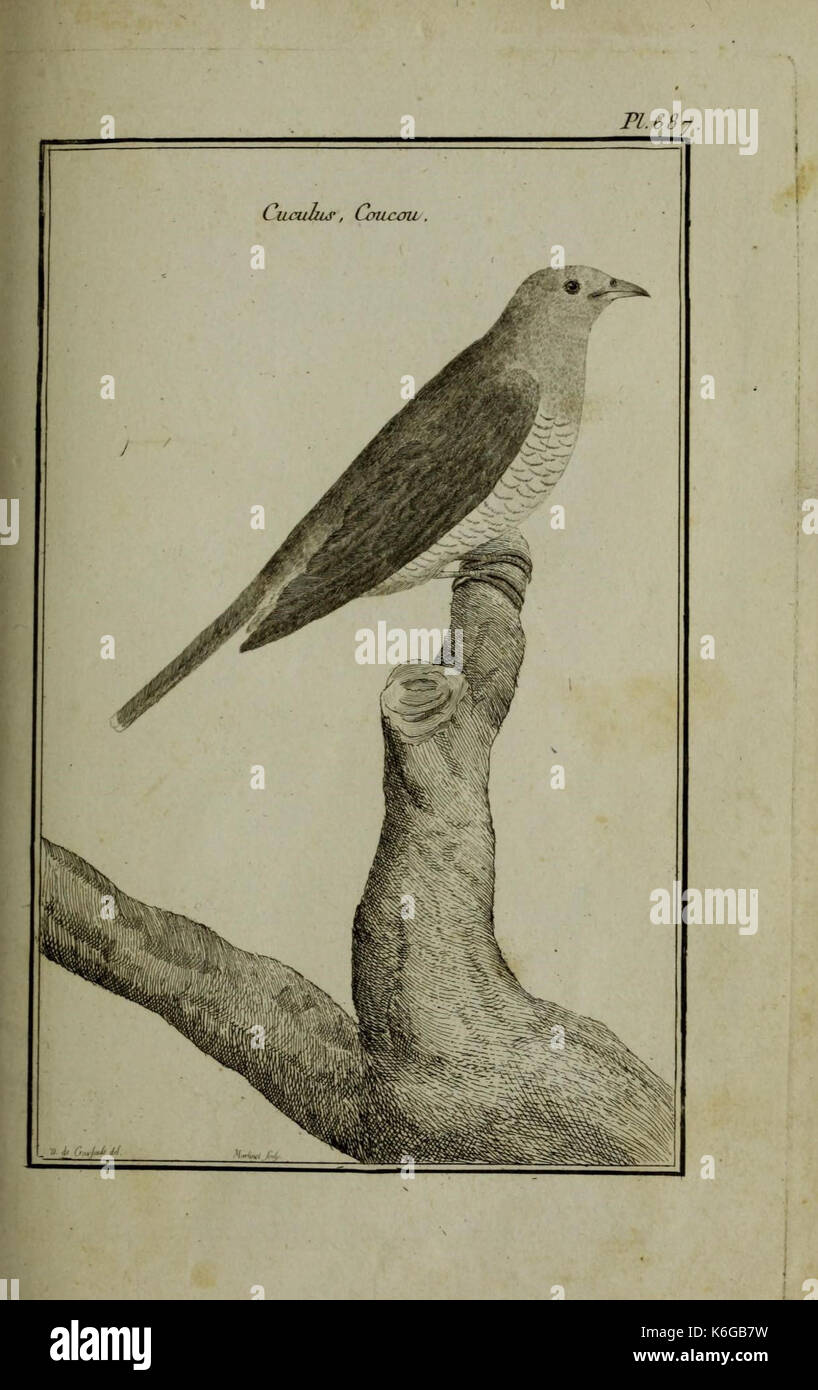 Vertus et usages hi-res stock photography and images - Alamy