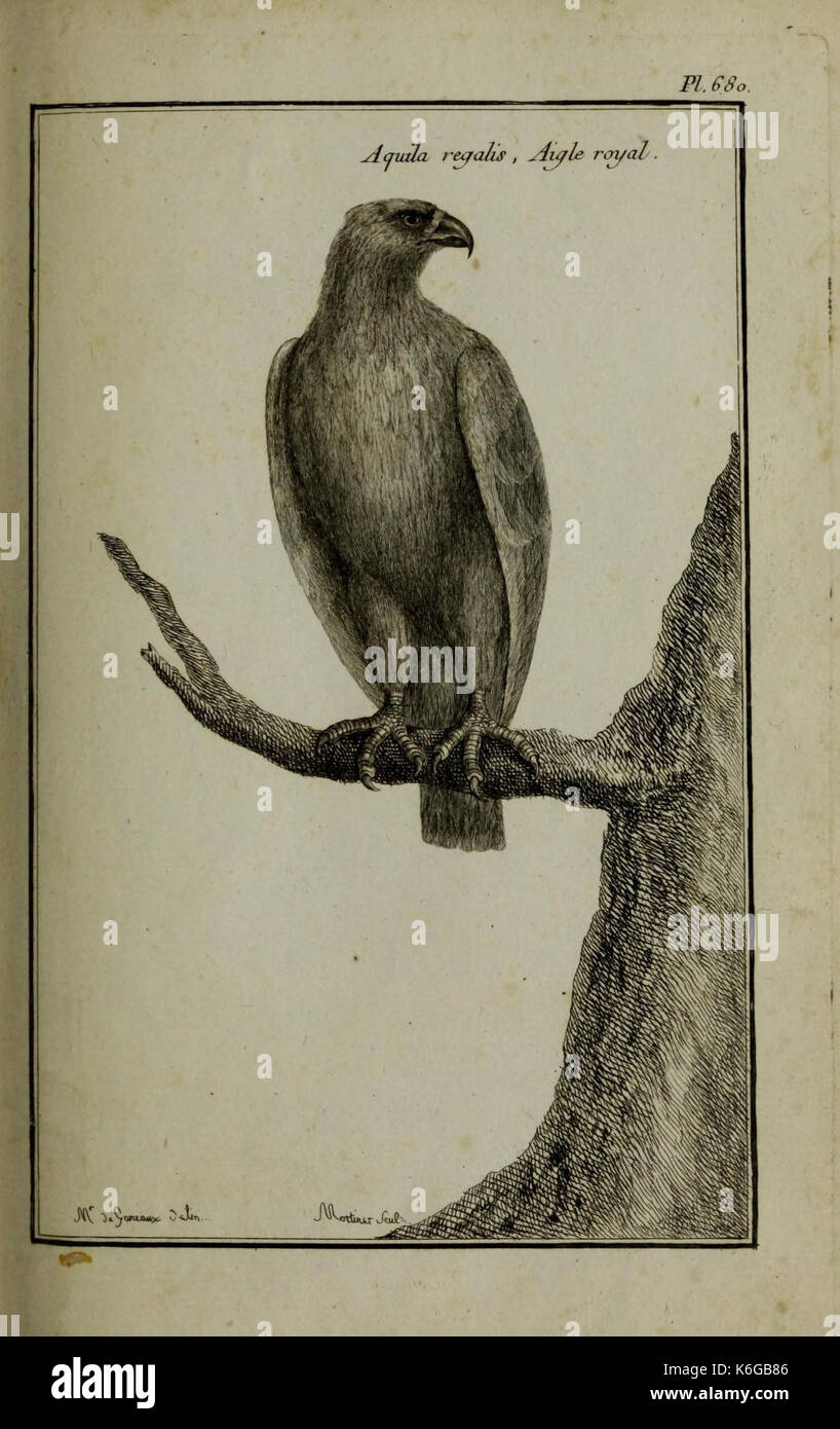 Description, vertus et usages de sept cents dix neuf plantes (Plate 680 ...