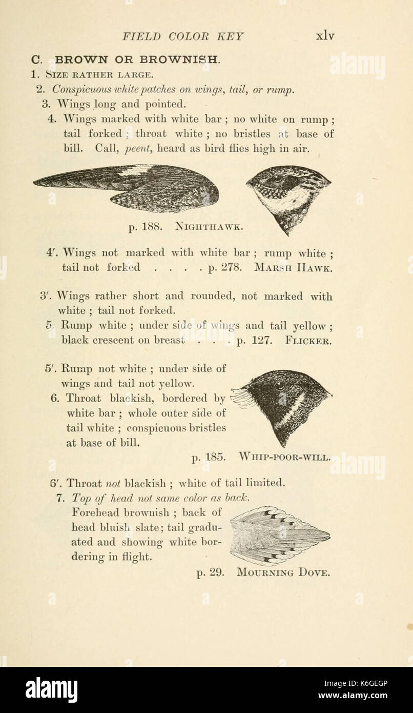 Rural birds of prey hi-res stock photography and images - Alamy