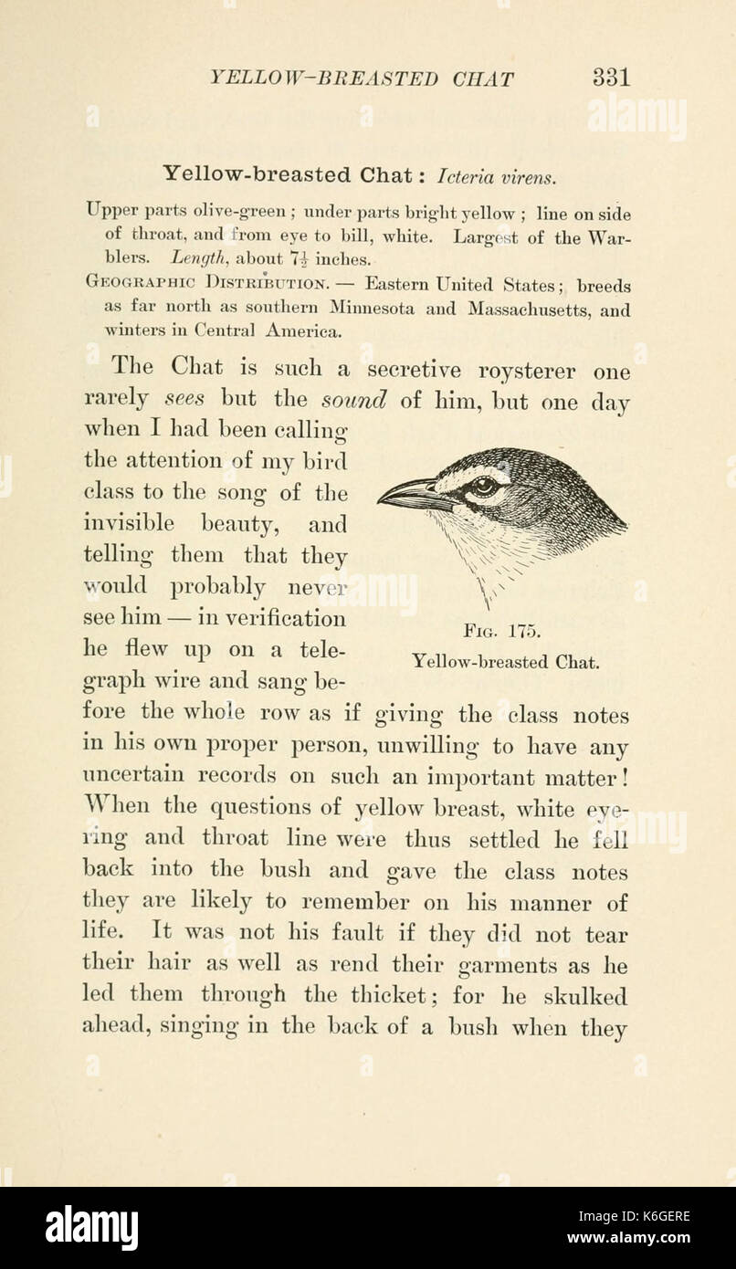 Birds of village and field BHL7289023 Stock Photo - Alamy