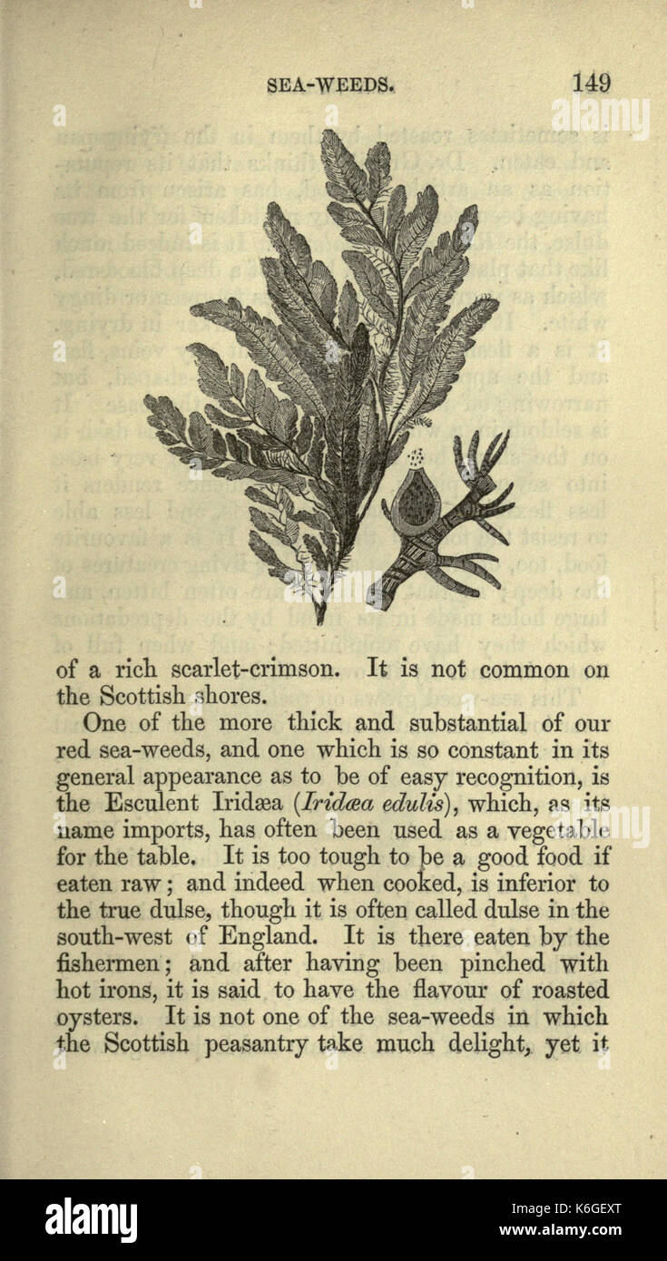 Chapters on the common things of the sea coast (Page 149) BHL23896900 ...