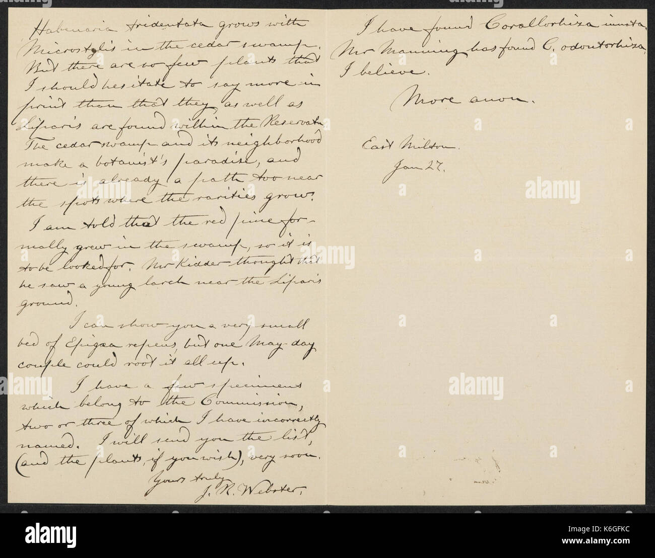 Correspondence relating to the Blue Hills flora project, 1894 1896 ...