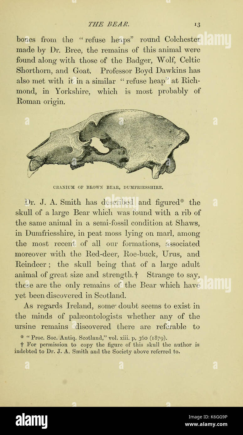 British animals extinct within historic times BHL12328663 Stock Photo ...